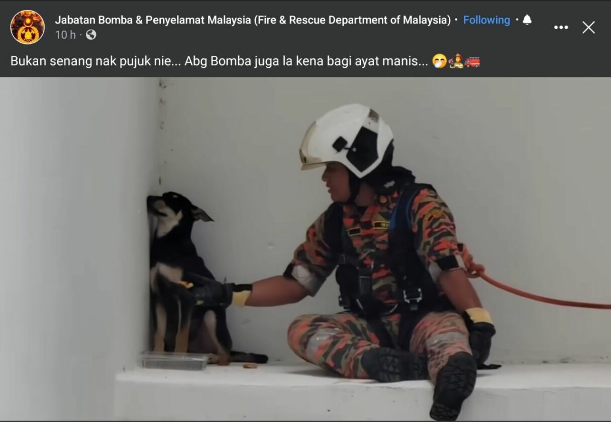 Anjing Merajuk Abang Bomba Pujuk