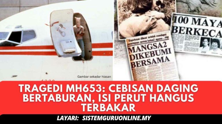 Tragedi MH653: Cebisan Daging Bertaburan, Isi Perut Hangus Terbakar