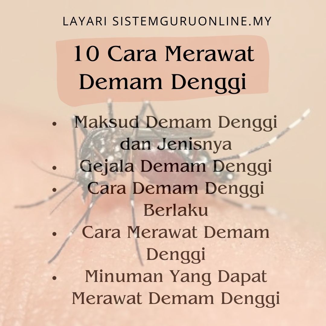 10 Cara Merawat Demam Denggi Dengan Sangat Mudah