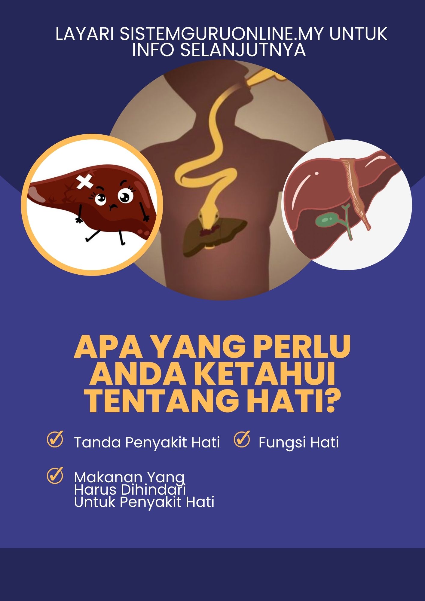 Fungsi Hati, 4 Tanda Penyakit Hati Dan 3 Makanan Yang Harus Dihindari ...