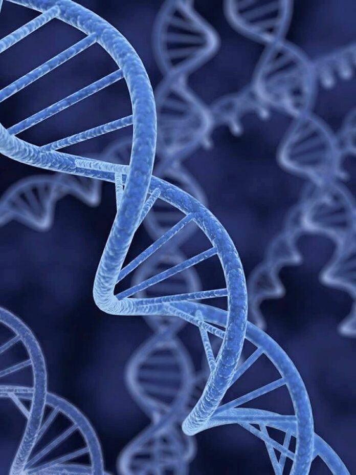 4 Faktor Penyakit ADHD Yang Perlu Anda Ketahui