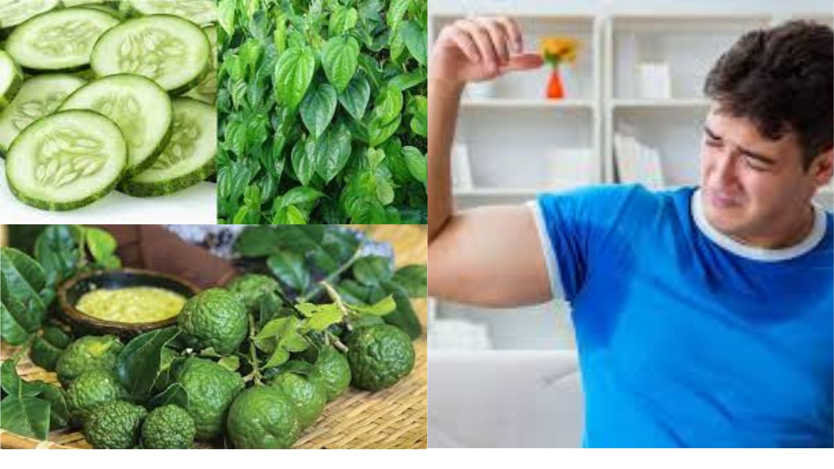 Penyebab Dan 7 Cara Hilangkan Masalah Bau Ketiak