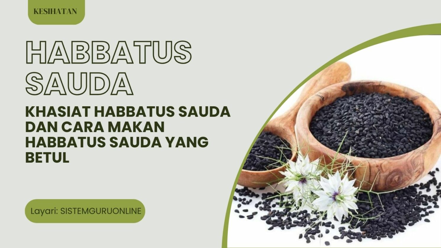 15 Khasiat Habbatus Sauda Dan Cara Makan Habbatus Sauda Yang Betul