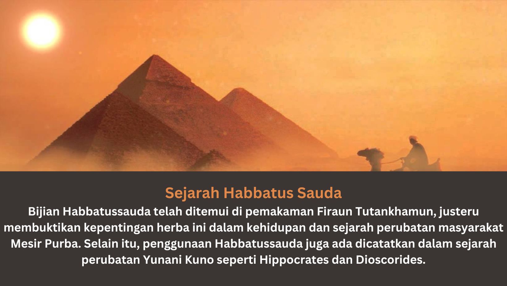 15 Khasiat Habbatus Sauda Dan Cara Makan Habbatus Sauda Yang Betul
