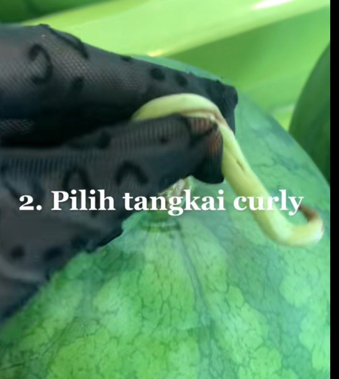 5 Khasiat Buah Tembikai Dan Cara Pilih Buah Tembikai Manis, Sila Ikuti ...