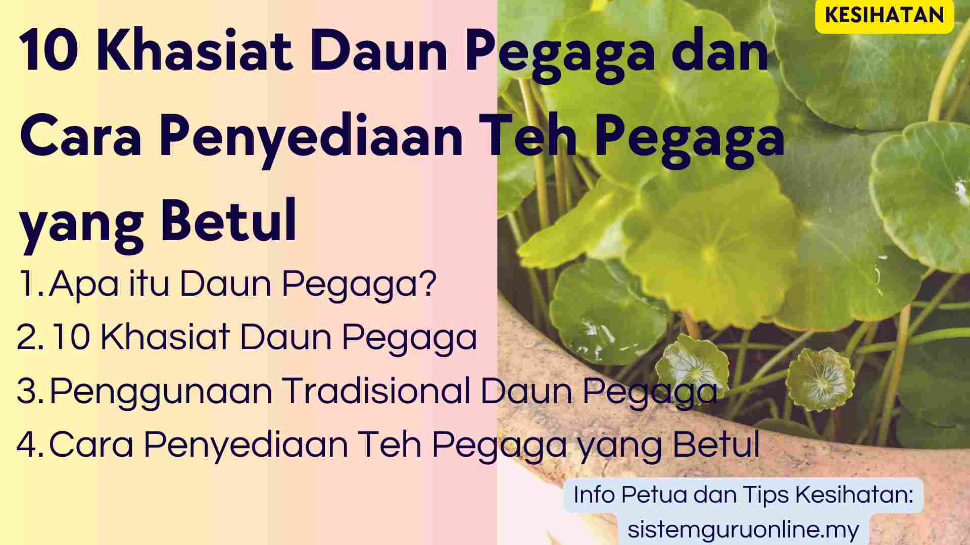 10 Khasiat Daun Pegaga Untuk Kesihatan Dan Cara Penyediaan Teh Pegaga ...