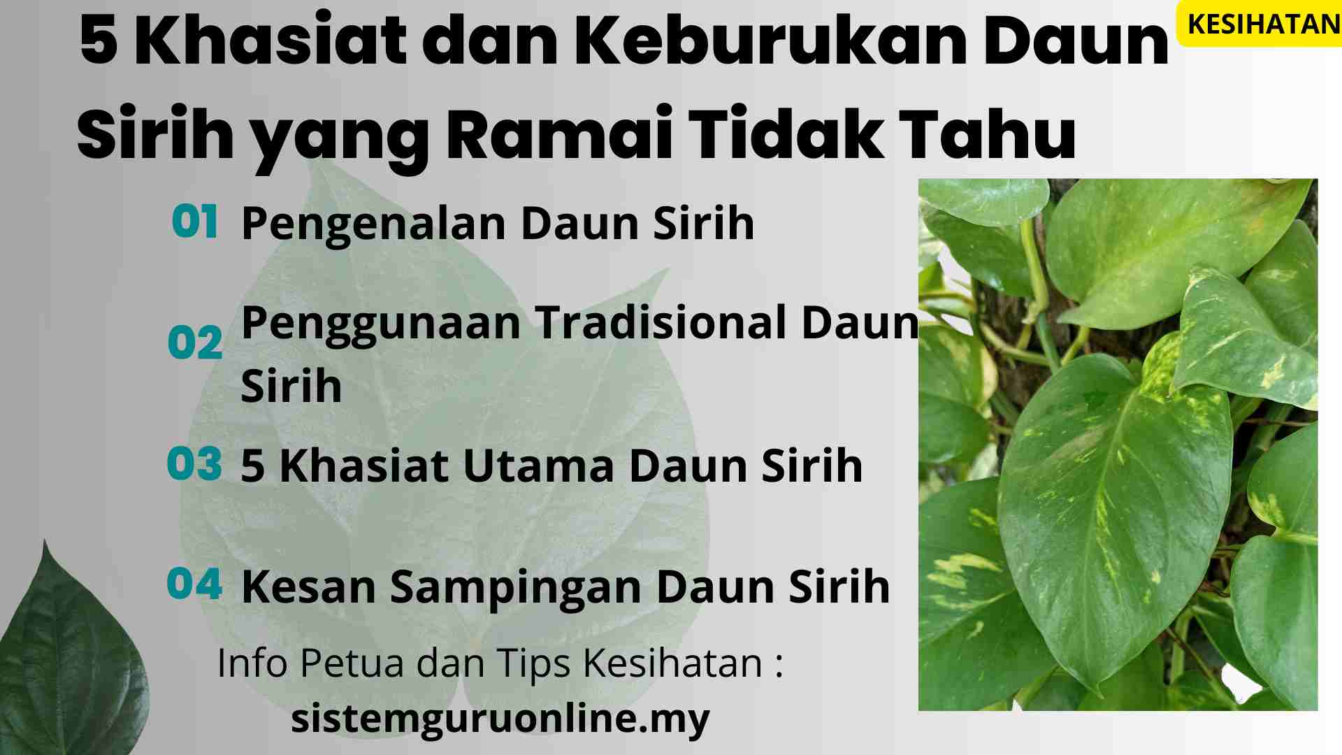 5 Khasiat Daun Sirih Dan Cara Buat Air Rebusan Daun Sirih