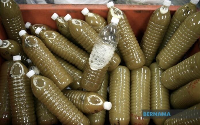 Air Ketum Untuk Perubatan Dan Khasiat Air Ketum Kepada Lelaki Dan Wanita