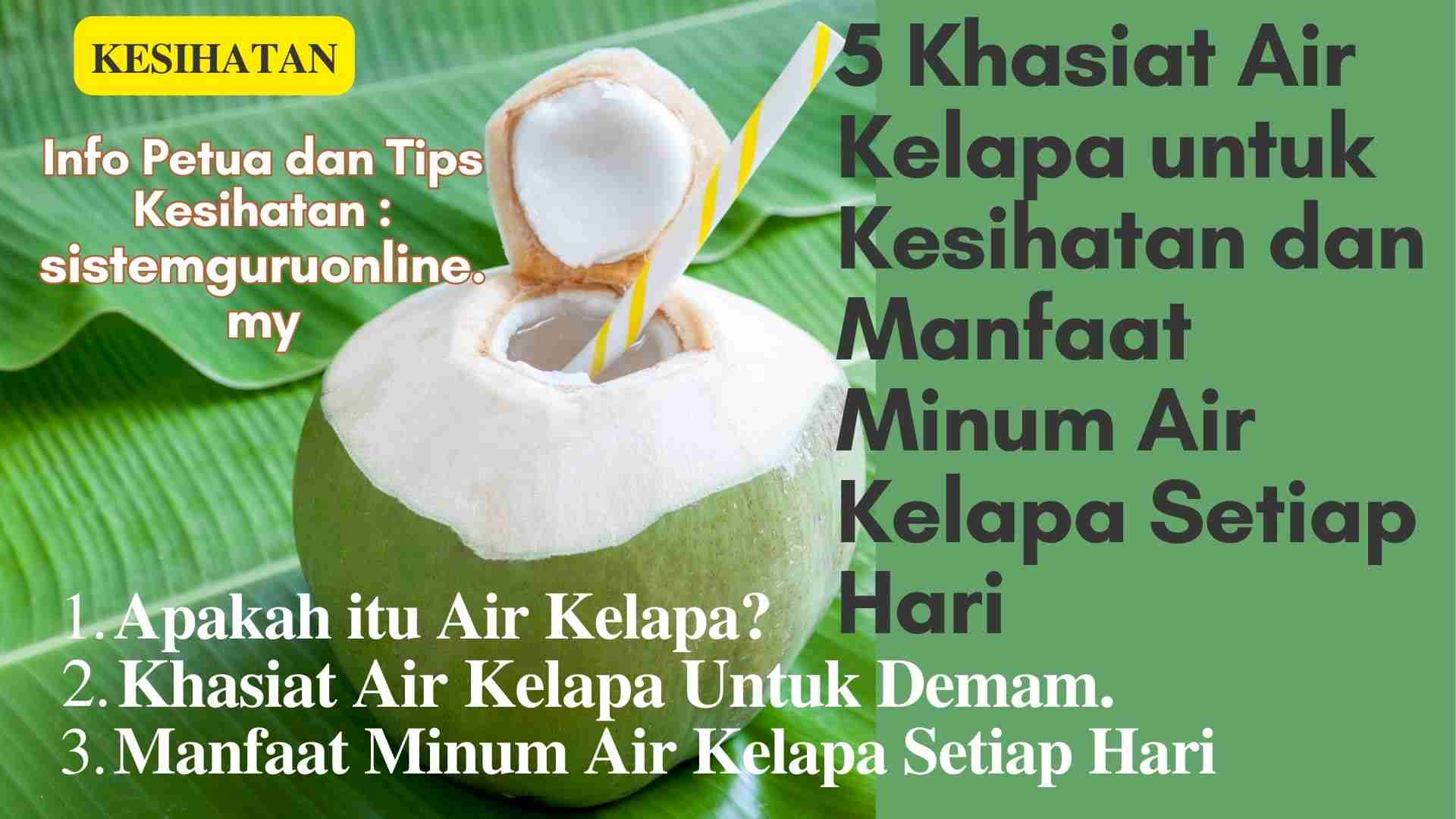 5 Khasiat Air Kelapa Dan Manfaat Minum Air Kelapa Setiap Hari