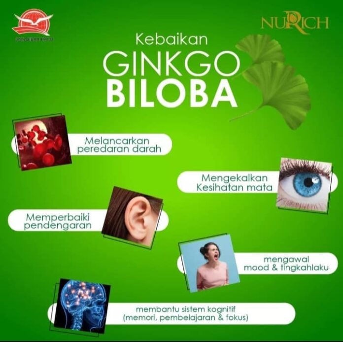 11 Punca Utama Telinga Berdesing Dan Cara Mengatasinya