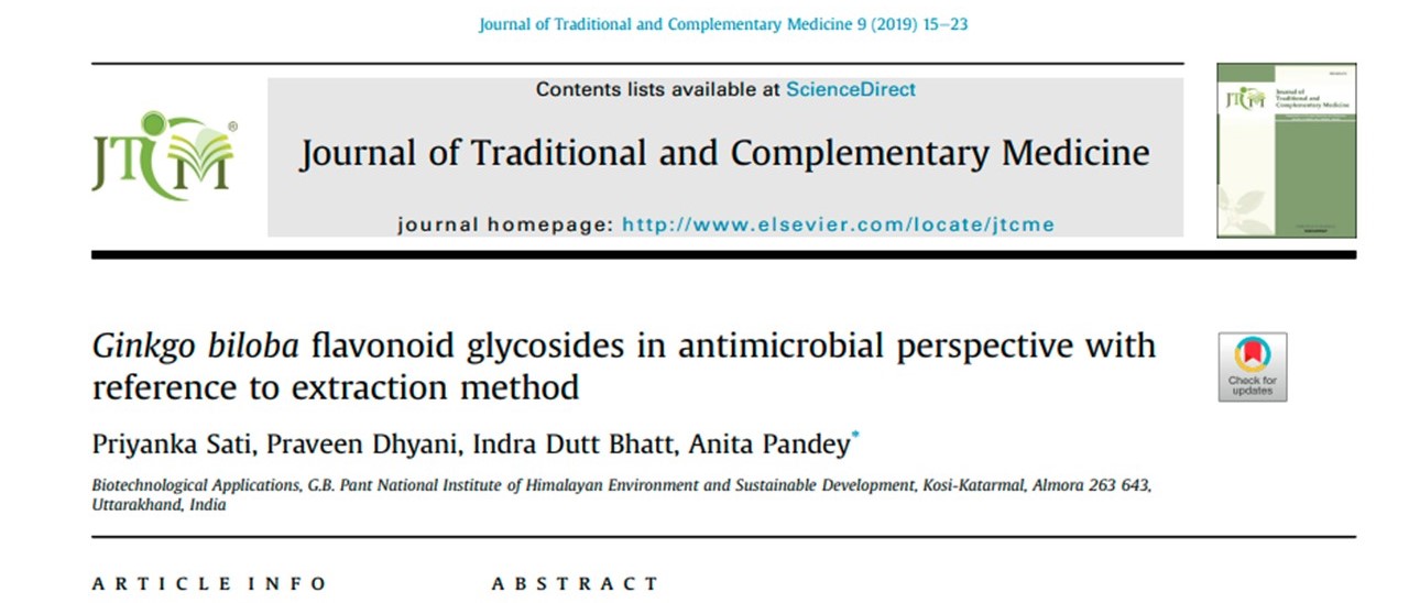 7 Khasiat Utama Ginkgo Biloba Sebagai Tumbuhan Purba Untuk Kesihatan