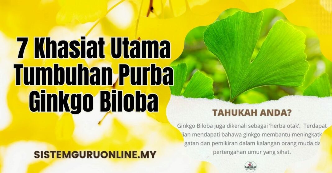 7 Khasiat Utama Ginkgo Biloba Sebagai Tumbuhan Purba Untuk Kesihatan
