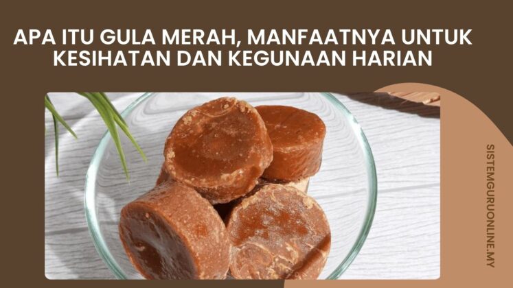 Apa Itu Gula Merah, Manfaatnya Untuk Kesihatan Dan Kegunaan Harian