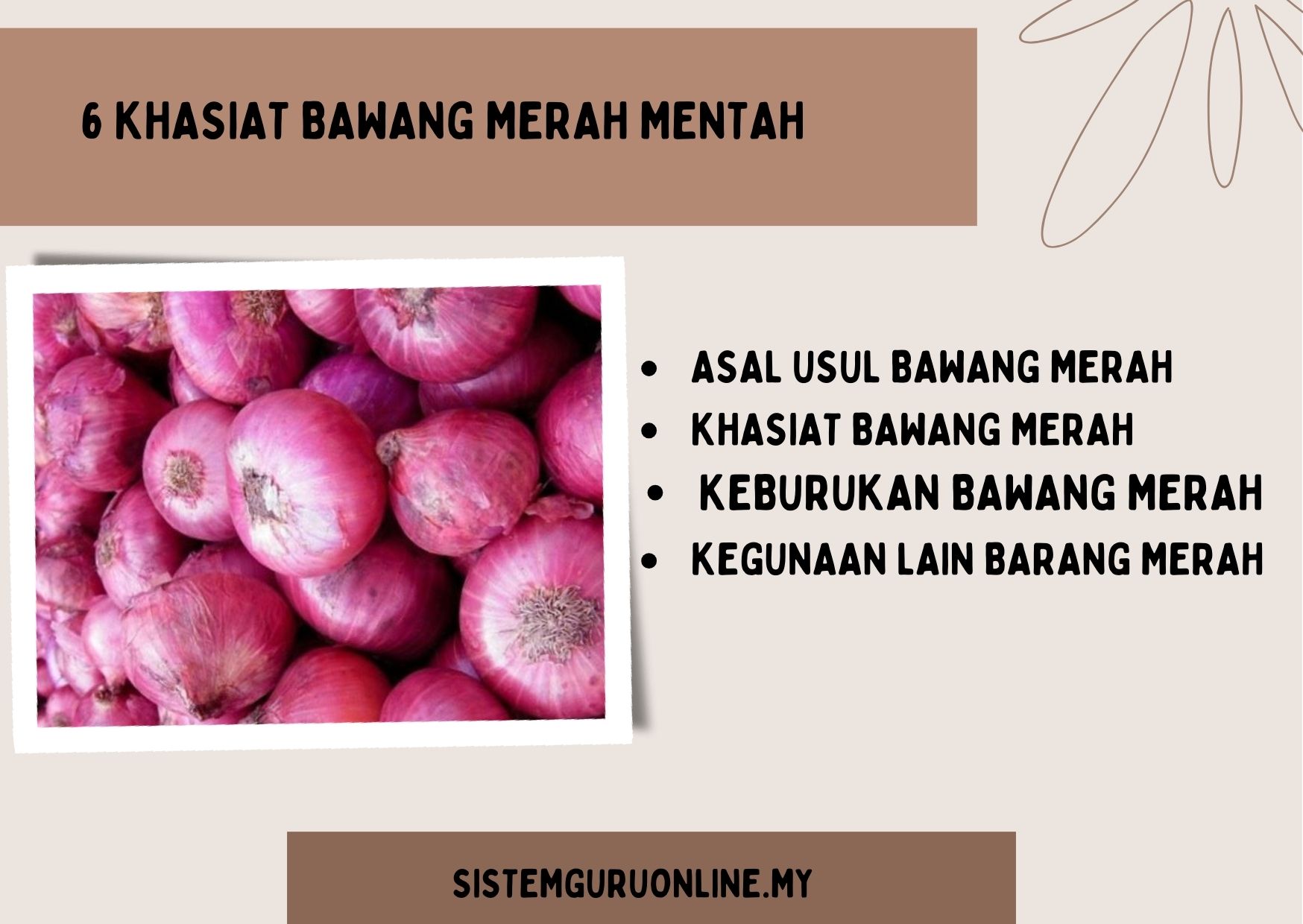 6 Khasiat Bawang Merah Mentah