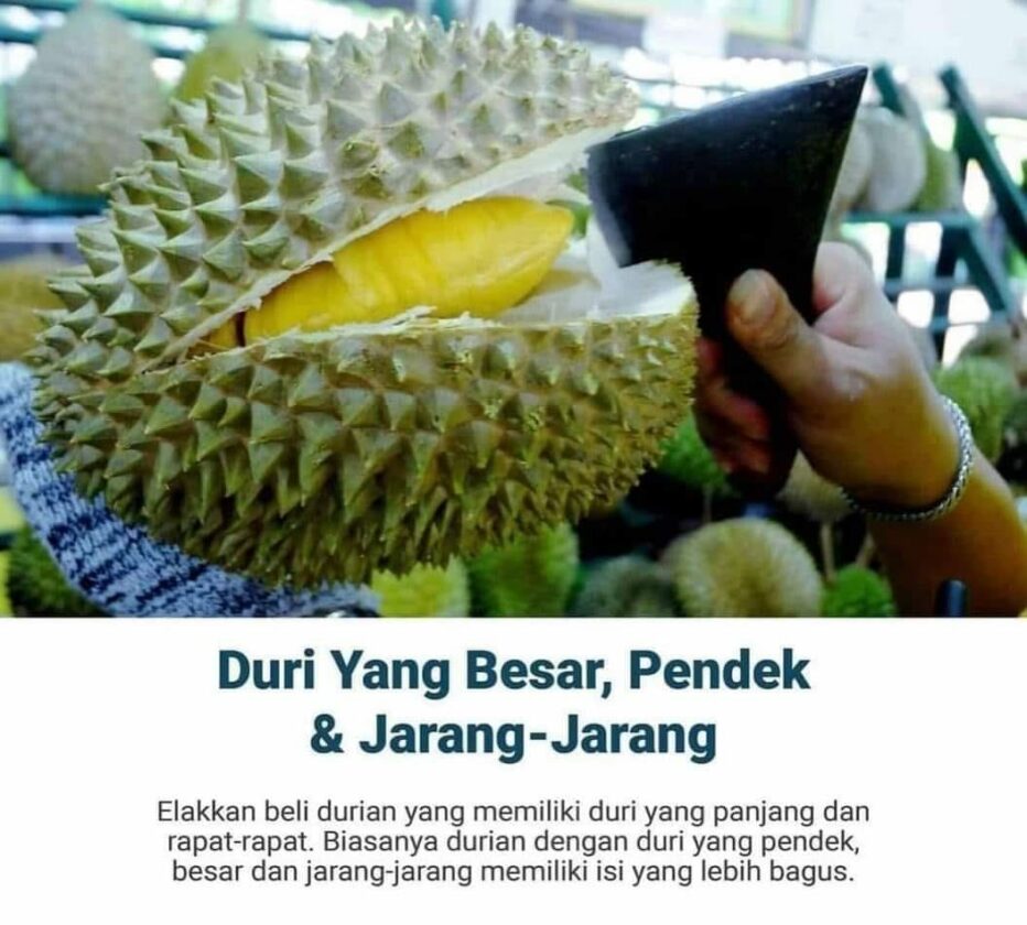 Tips Dan Cara Pilih Durian Yang Betul