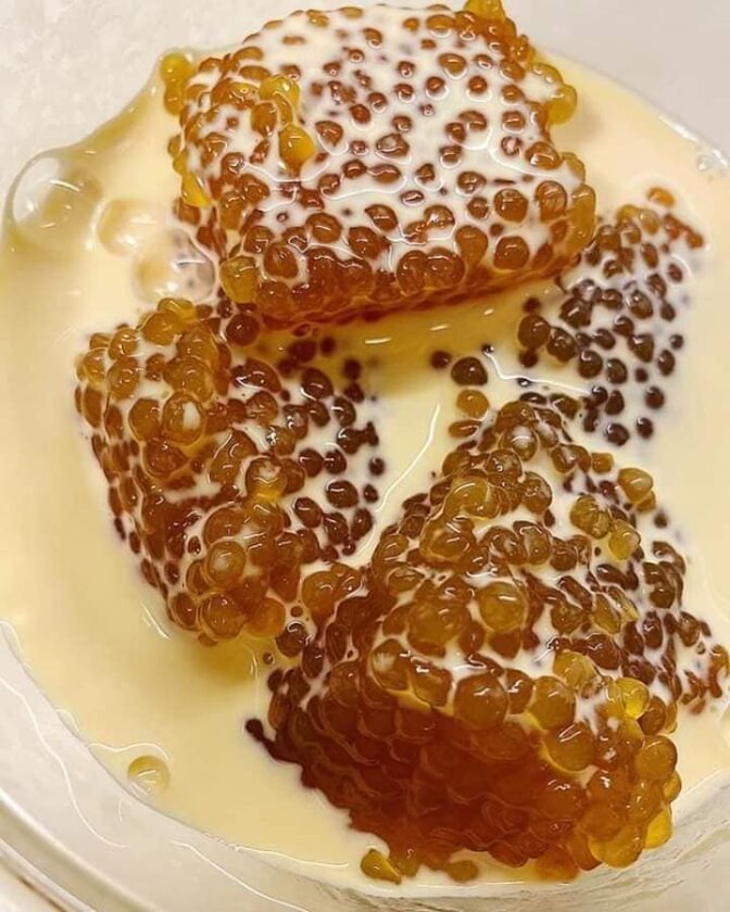 Resepi Sagu Gula Melaka Sedap Guna Beberapa Bahan