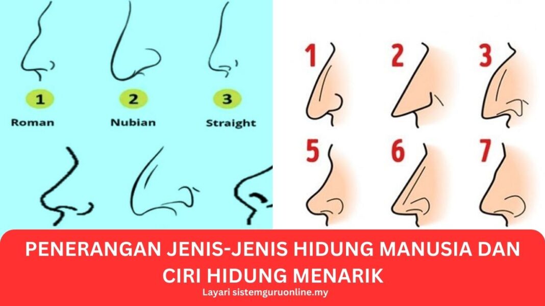 Penerangan Jenis-Jenis Hidung Manusia Dan Ciri Hidung Menarik